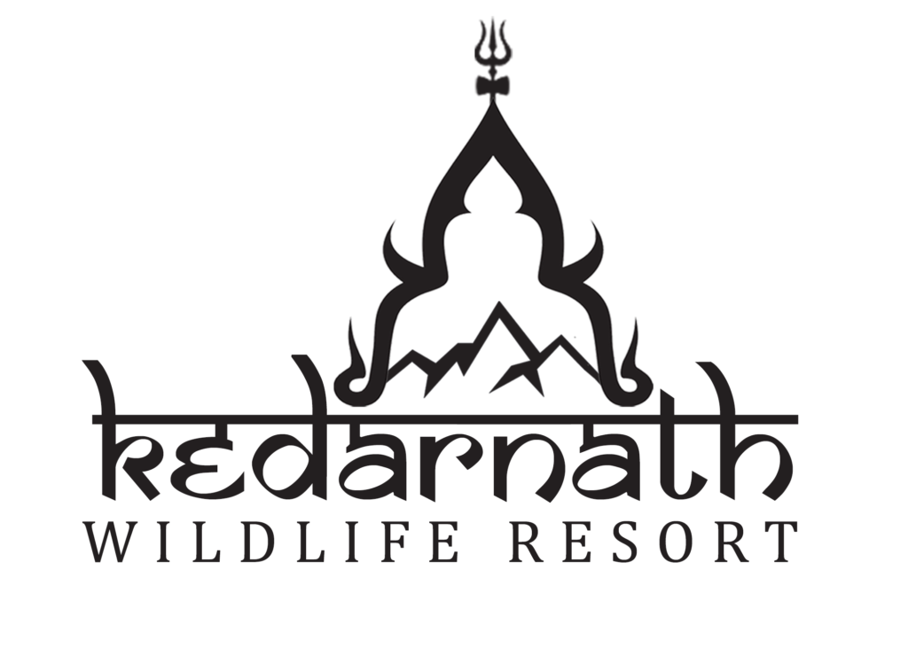 Kedarnath Wildlife Resort